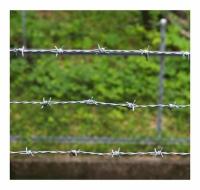 China School Enclosure Special Barbed Wire Mesh Cheap Price Security Barbed Wire for sale