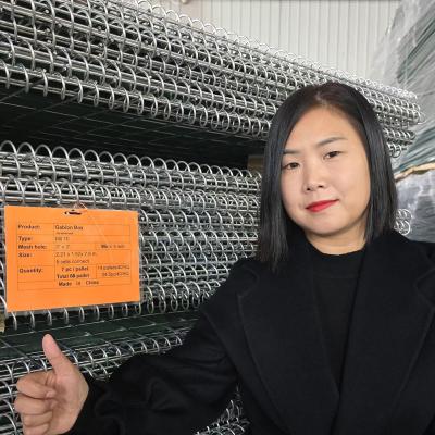 China Hot Dipped Galvanized Mendenhall River Semi Permanent Levee Of Military-grade Flood Hesco Barriers for sale