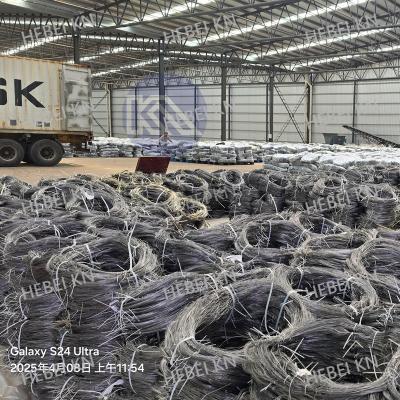 China Inconspicuous Strip Barrier Wire Mesh for sale
