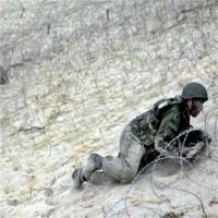 China High Security Galvanized Steel Anti Climb Razor Wire Fence for sale