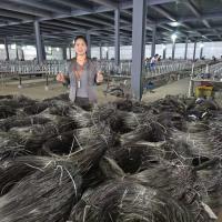 China Low Visibility Obstacle Fence Low-Visibility Wire Net Refers To Engineering Non-Explosive Barriers Of A Deterrent Type for sale