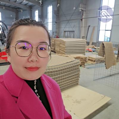 China Galvanized Steel Wire Hesco Barrier MIL-8 1.37m x 1.22m x 10m for sale