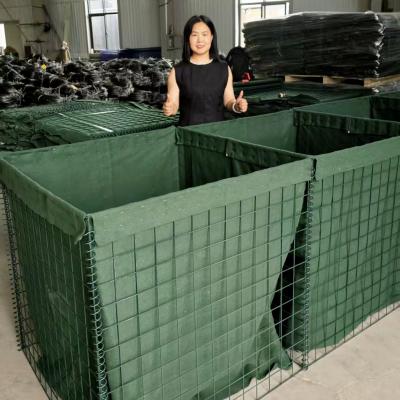 China Hot Dipped Galvanized Hesco Barrier SX-3 for Flood Control for sale