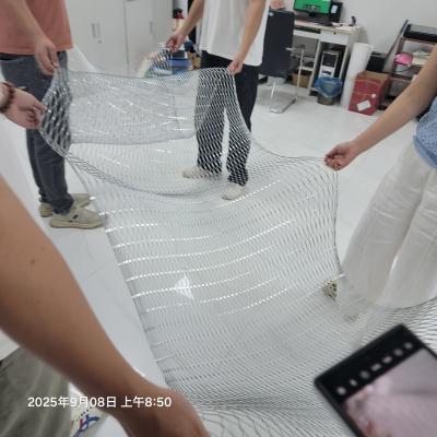 China Garden Protection Construction KN  304 316 316L High Strength Stainless Steel Cable Rope Mesh Net For Aviary Zoo Mesh for sale
