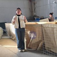 China Defensive Barrier Galvanized Welded Mesh 5mm Wire 300 Gsm Geotextile Lined Earth Filled Military Gabion Box for Army Bunkers for sale