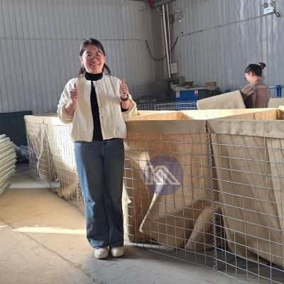 China Defensive Barrier Galvanized Welded Mesh 5mm Wire 300 Gsm Geotextile Lined Earth Filled Military Gabion Box for Army Bunkers for sale