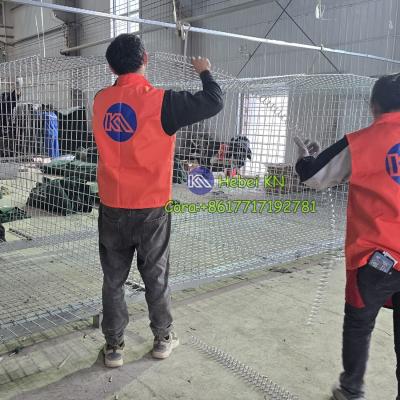 China KN Hot Dipped Galvanized Welded Gabion Box With Competitive Hesco Barrier Price for sale