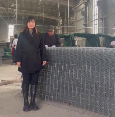 China SX10 Sand Fileld HESCO Defensive Barriers With Geotextile  Military Gabion Barriers hesco barrier price for sale