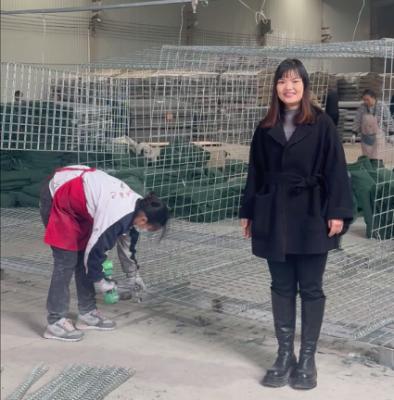 China Mil 1 Army Defensive Barrier Wall Protection Galvanized Coated With Geotextile hesco barrier price for sale