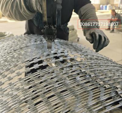 China Factory Directly Supply Razor Blade Barbed Wire for Prison Border Farm for sale