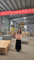 China Professional SupplyCustomized Folding Defensive Barrier Galvanized Security Wall Flood Defensive Barrier Explosion RetainingWall for sale