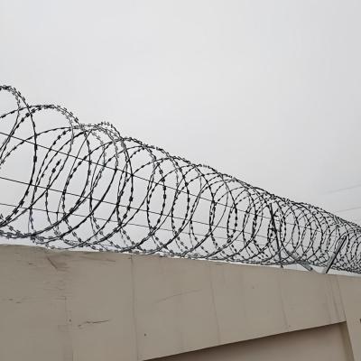 China 50cm Coild Stainless Steel Tape Concertina BTO-16 Razor Barbed Wire Fence for sale