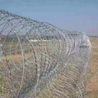 China 50cm Coild Stainless Steel Tape Concertina BTO-16 Razor Barbed Wire Fence for sale