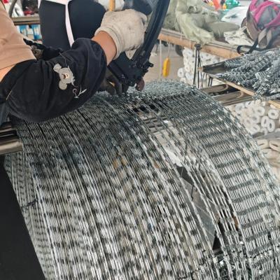 China 110cm Hot Dipped Galvanized Razor Wire | Anti-Intrusion Border Security Fence for sale
