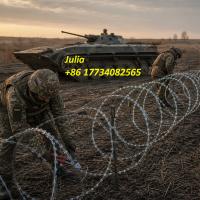 China High Security Razor Barbed Wire Galvanized Steel Fencing Solution With Dedicated Clips And Excellent Defense Capability for sale