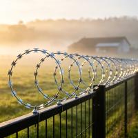 China Stainless Steel Razor Barbed Wire CBT-65 Concertina Wire for Residential Farm Safety for sale