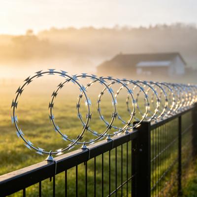China Stainless Steel Razor Barbed Wire CBT-65 Concertina Wire for Residential Farm Safety for sale