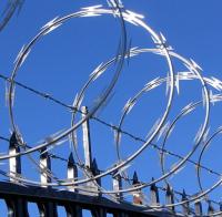 China Hearvy Galvanized Concertina Razor Wire Cross Type Security Barbed Wire Fence Topper for sale