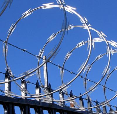 China Hearvy Galvanized Concertina Razor Wire Cross Type Security Barbed Wire Fence Topper for sale