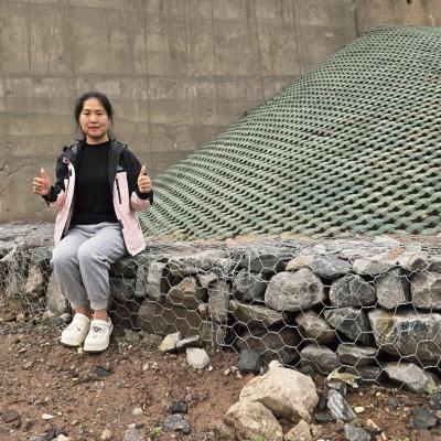 China Stone Filled Flood Gabion Box Barrier Anti Rust with 2*1*1m for sale