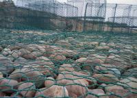 China Pvc Coated Gabion Baskets , Rock Filled Gabion Cages For Seaport Engineering for sale