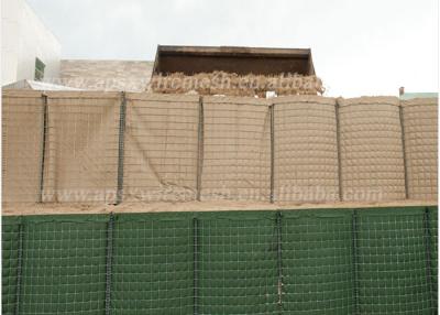China Mesh 3