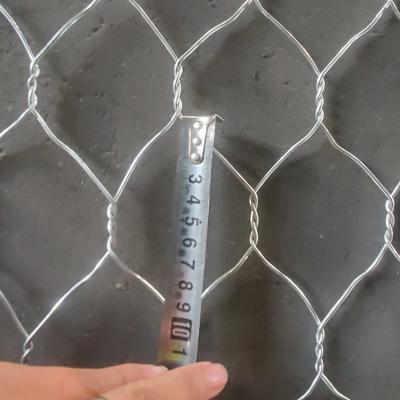 China Hot Dip Galvanized Gabion Fence Baskets Hexagonal Woven Mesh For Retaining Wall for sale