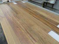 China 18mm Thickness Australian Spotted Gum Solid Timber Flooring with 25 Years Warranty and E0 Formaldehyde Emission for sale
