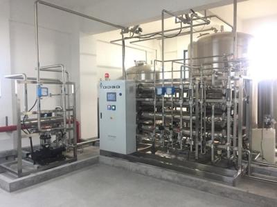 China Automatic Welding SS Purified Water System 500L/H for Pharmaceutical Oral Liquid for sale