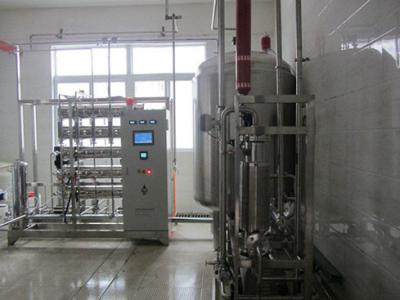 China SS316L EDI RO Ultrapure Pharmaceutical Water Treatment Plant 500LPH for sale