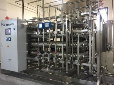 China Ss304 Material  Pharmaceutical Water Treatment Plant Purified Water System for sale