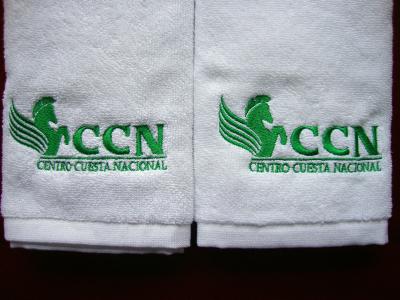 China Custom Logo Embroidered Gym Sports Towel 100% Cotton Small MOQ for sale