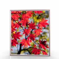 China 43 Inch Wifi Cloud Digital Picture Frame LCD Signage Android Photo Frame for sale