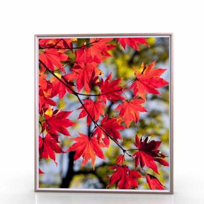 China 43 Inch Wifi Cloud Digital Picture Frame LCD Signage Android Photo Frame for sale