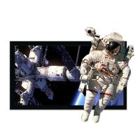 China 55 Inch Landscape Wall Mounted Advertising Display Glasses free Naked Eye 3D Display for sale