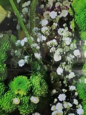 China Zero Bezel Advertising Digital Signage Video Wall 49