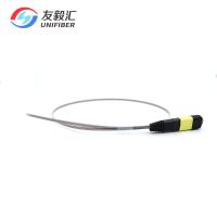 China Singlemode 12 Core MPO Ribbon Fiber Pigtail 0.5m Male / Female for sale