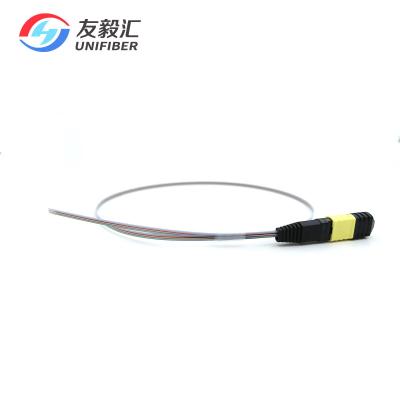 China Singlemode 12 Core MPO Ribbon Fiber Pigtail 0.5m Male / Female for sale