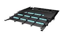 China Data Center Ultra High Density MPO/MTP Fiber Optic Patch Panel 1U-144F 2U-288F 4U-576F for sale