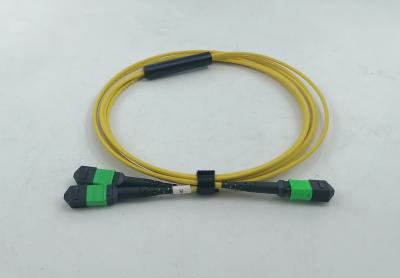 China 16 Core MPO APC to 2x 12 core MPO APC Female Fiber Trunk Cable Patch Cord Single Mode LSZH 5M Type B for sale