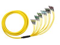 China Single Mode 144 Core MPO-MPO Fiber Trunk Cable for sale
