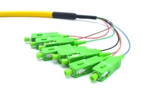 China Multifiber Bundle Fiber Optic Pigtails 4 / 6 / 12 Cores SC APC G657A for sale