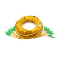 China SC/APC 12 Fibers Pre Terminated Multi Fiber Cables Break Out Distribution 2.0mm Break Out Legs for sale