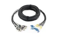 China Customized Pre Terminated Multi Fiber Cables Singlemode 12 Core With FC/LC LSZH Jacket for sale