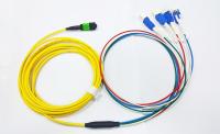 China Single Mode Optical Fiber Patch Cord MPO MTP To LC Uniboot Cable 8/12/24 Fibers for sale