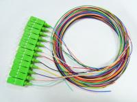 China 12 Core Fiber Optik Pigtail SC/LC/ST/FC 12 Strand 0.9mm Tight Buffered Durable for sale