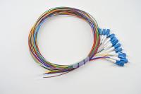 China 12 Strand Single Mode Fiber Optic Pigtail 0.9mm Tight Buffered Ribbon LC SC FC ST Connector for sale