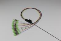 China UPC / APC Polish Optical Fiber Pigtail SC LC ST FC 12 Core Ribbon Fan Out Tight Buffered for sale