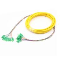 China Tight Buffered Distribution Pre Terminated Multi Fiber Cables 12/24 Core OS2 Single Mode for sale