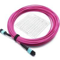China Low Loss MTP MPO Fiber , Multimode Trunk Cable Patch Cord Polarity B 8/12/24 Strand for sale